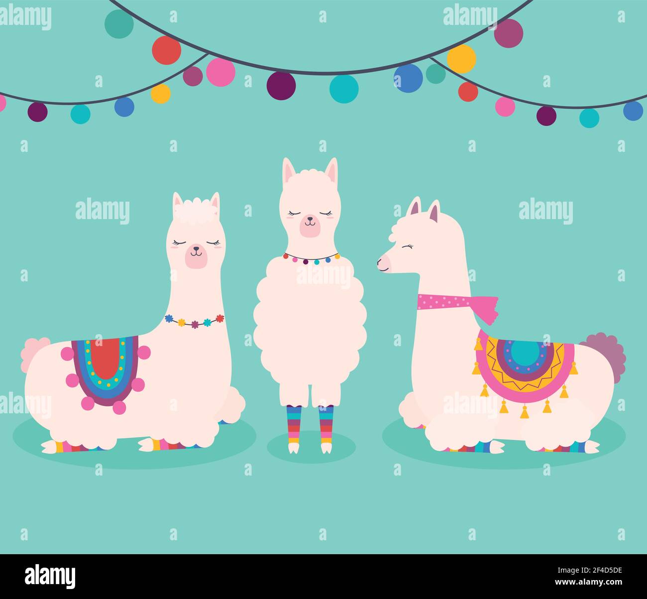 Llamas animals Banque d'images vectorielles - Alamy