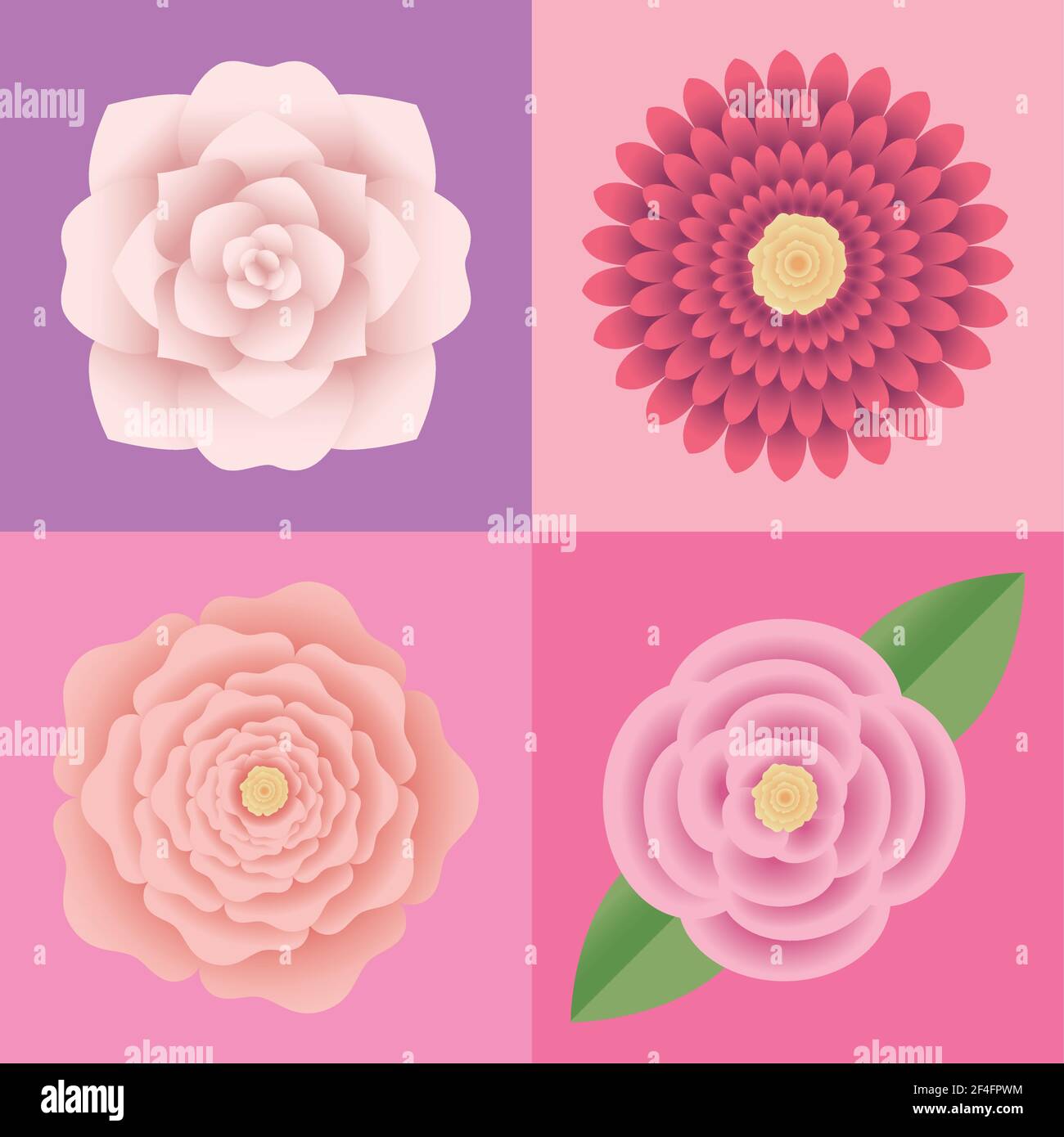 Quatre plantes Banque d'images vectorielles - Alamy