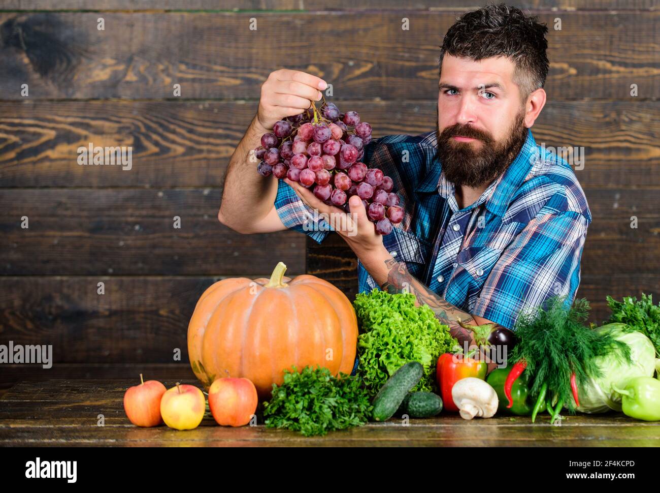 Raisins provenant de son propre jardin. L'agriculteur a barbu un type ...