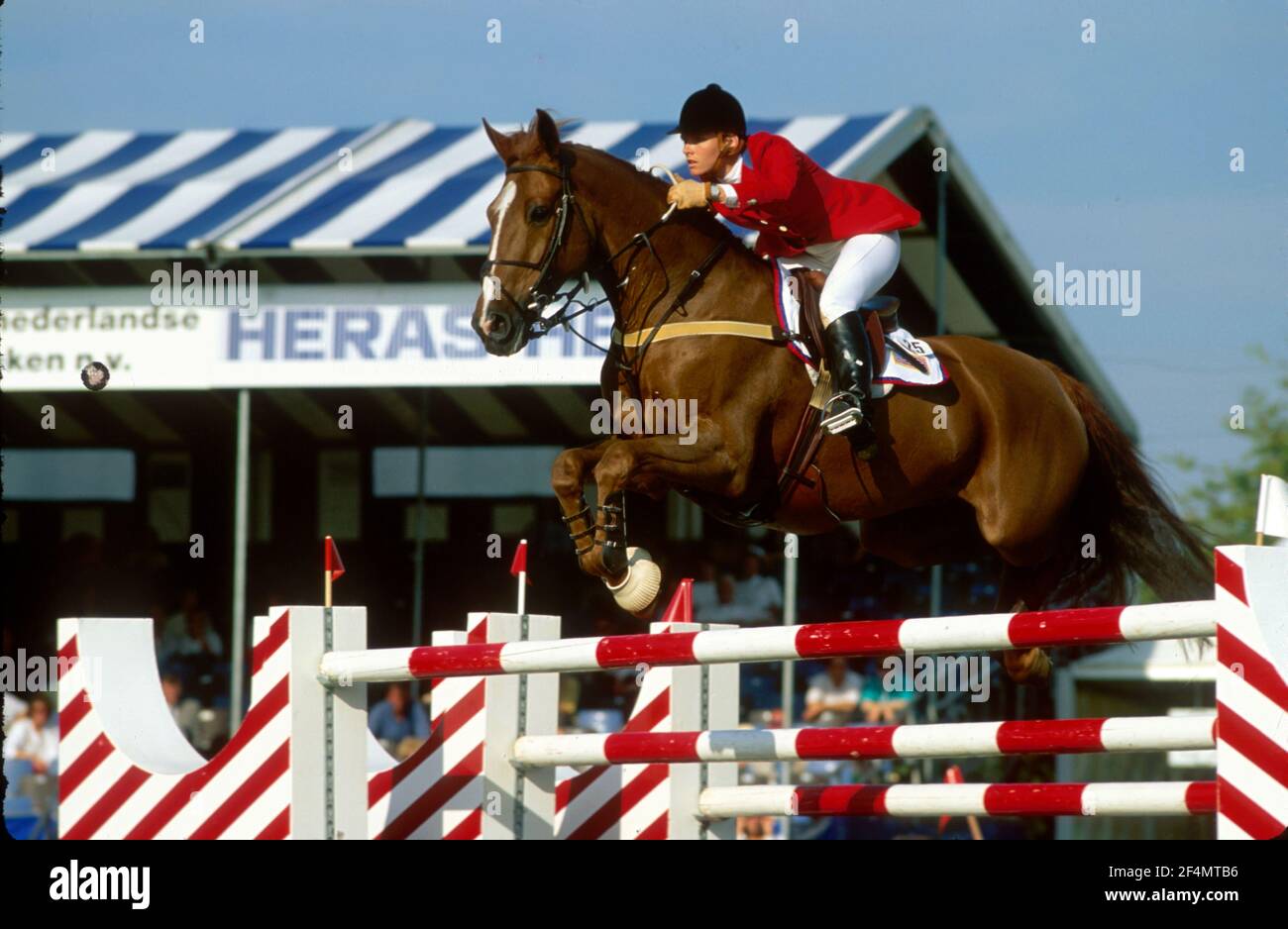 Tarzan and jane Banque de photographies et d’images à haute résolution ...