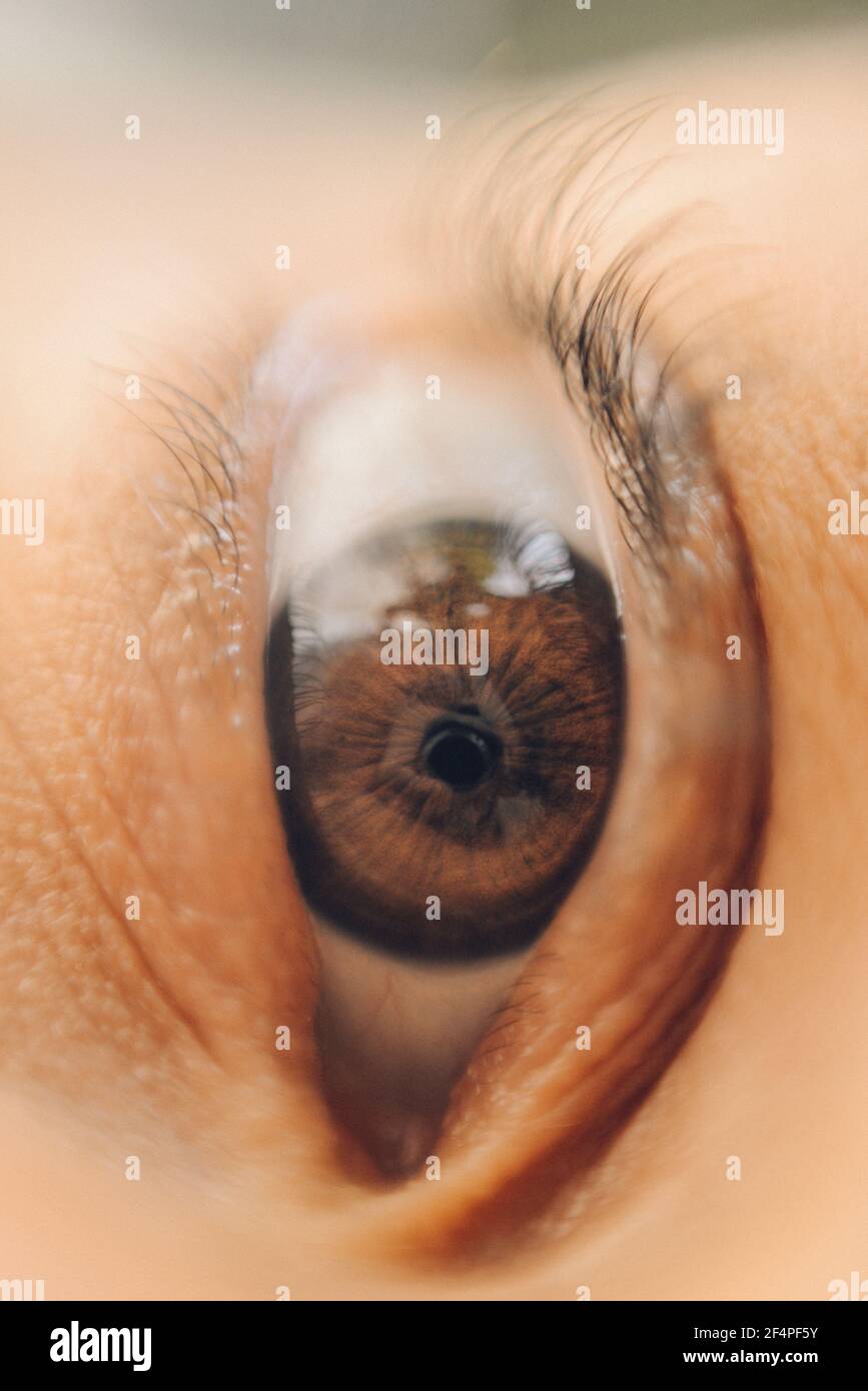 Femme avec des yeux maron le regard Banque de photographies et d’images ...