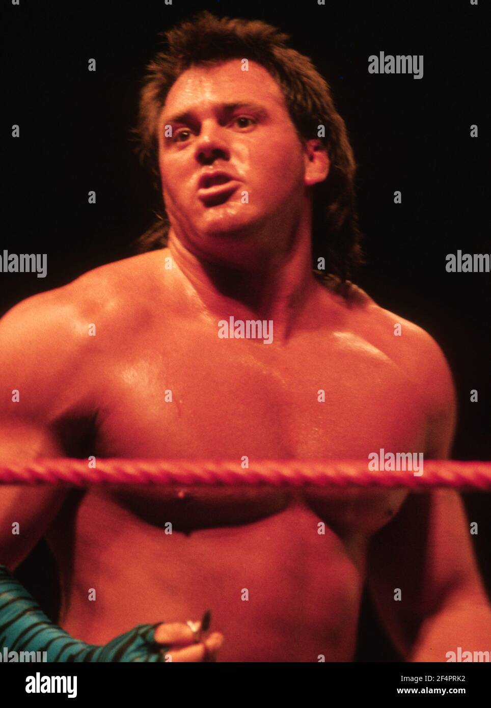 Brutus beefcake Banque de photographies et d’images à haute résolution ...