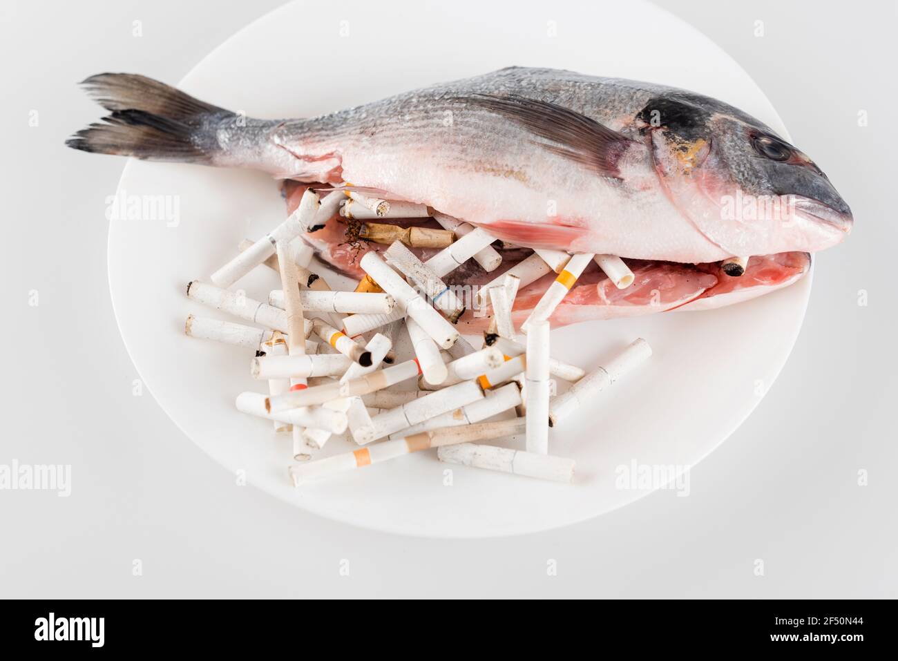 vue de dessus du poisson vidé près des extrémités de cigarettes sur ...