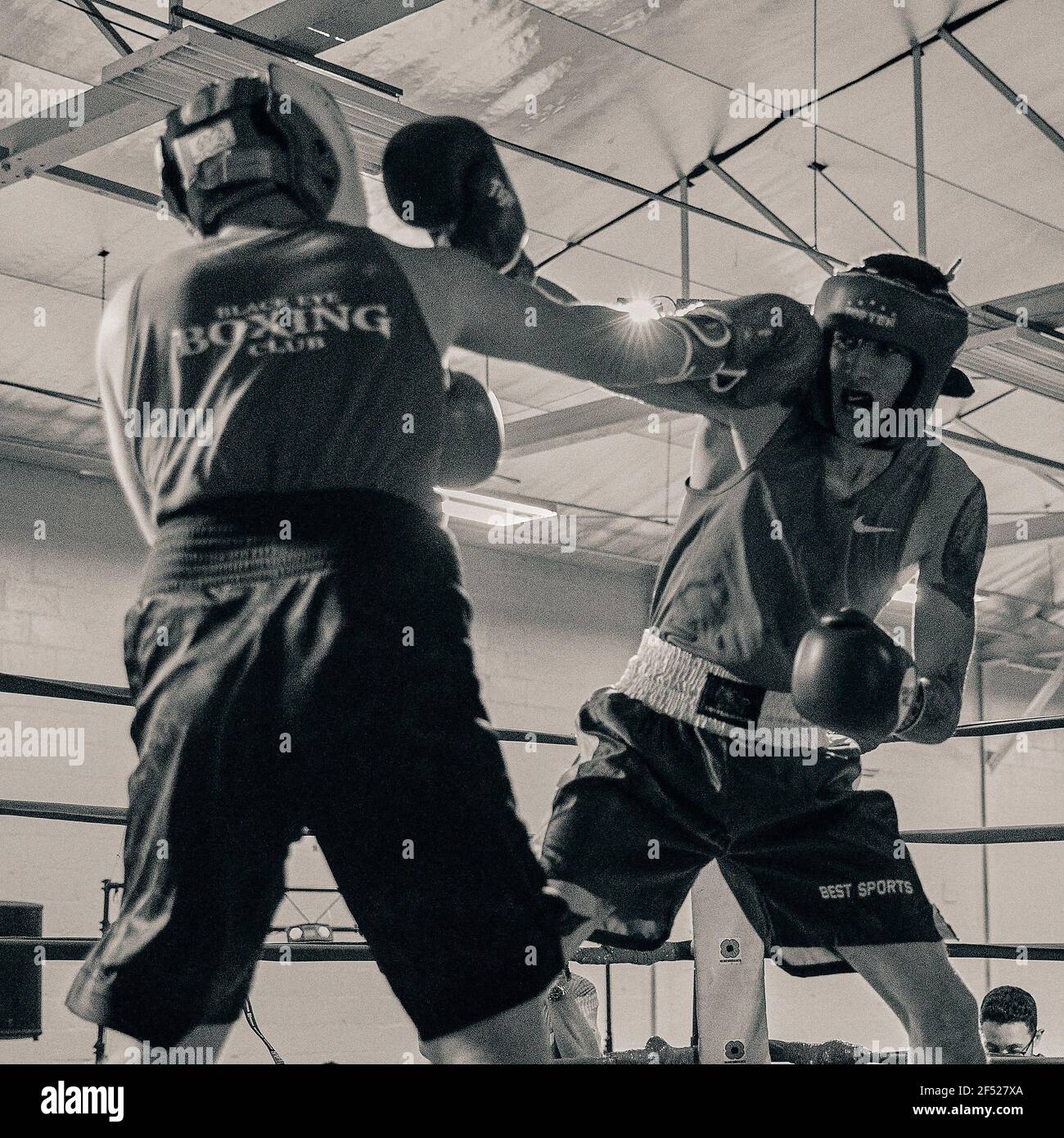 Young amateur boxer Banque de photographies et d’images à haute ...
