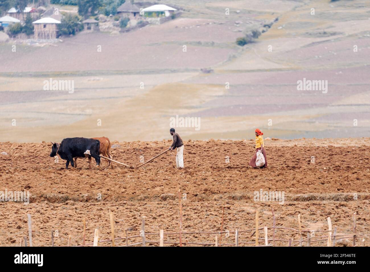 RÉGION D'OROMIA, ÉTHIOPIE, AVRIL 19.2019, un agriculteur éthiopien ...