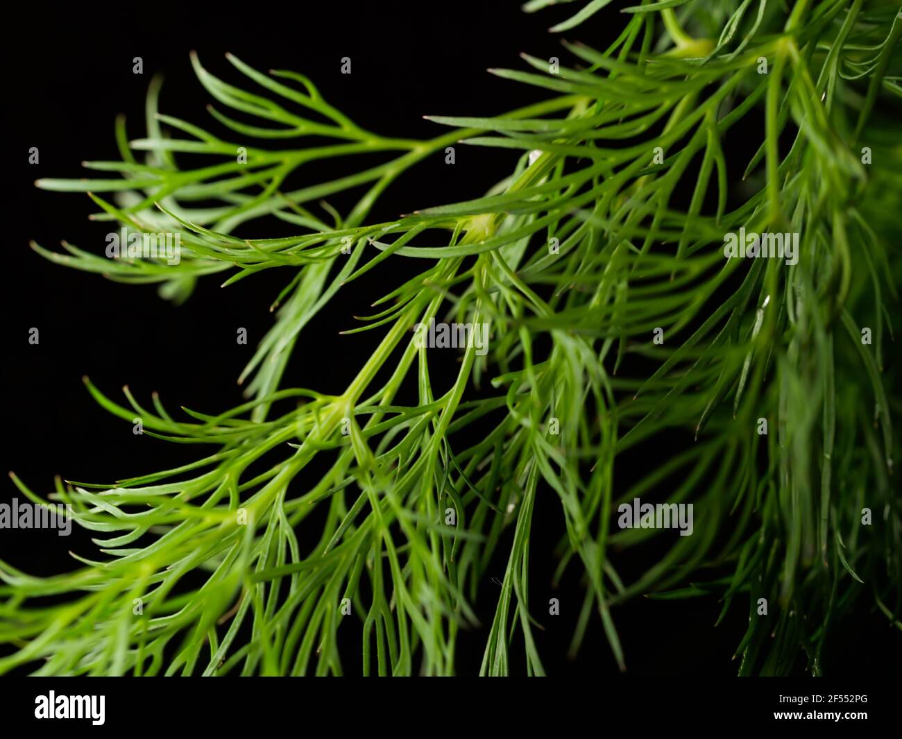 Bons Verts Banque d'image et photos - Alamy