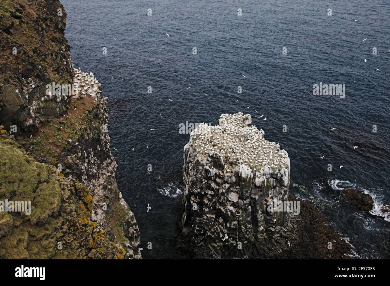 Langanes peninsular Banque de photographies et d’images à haute ...