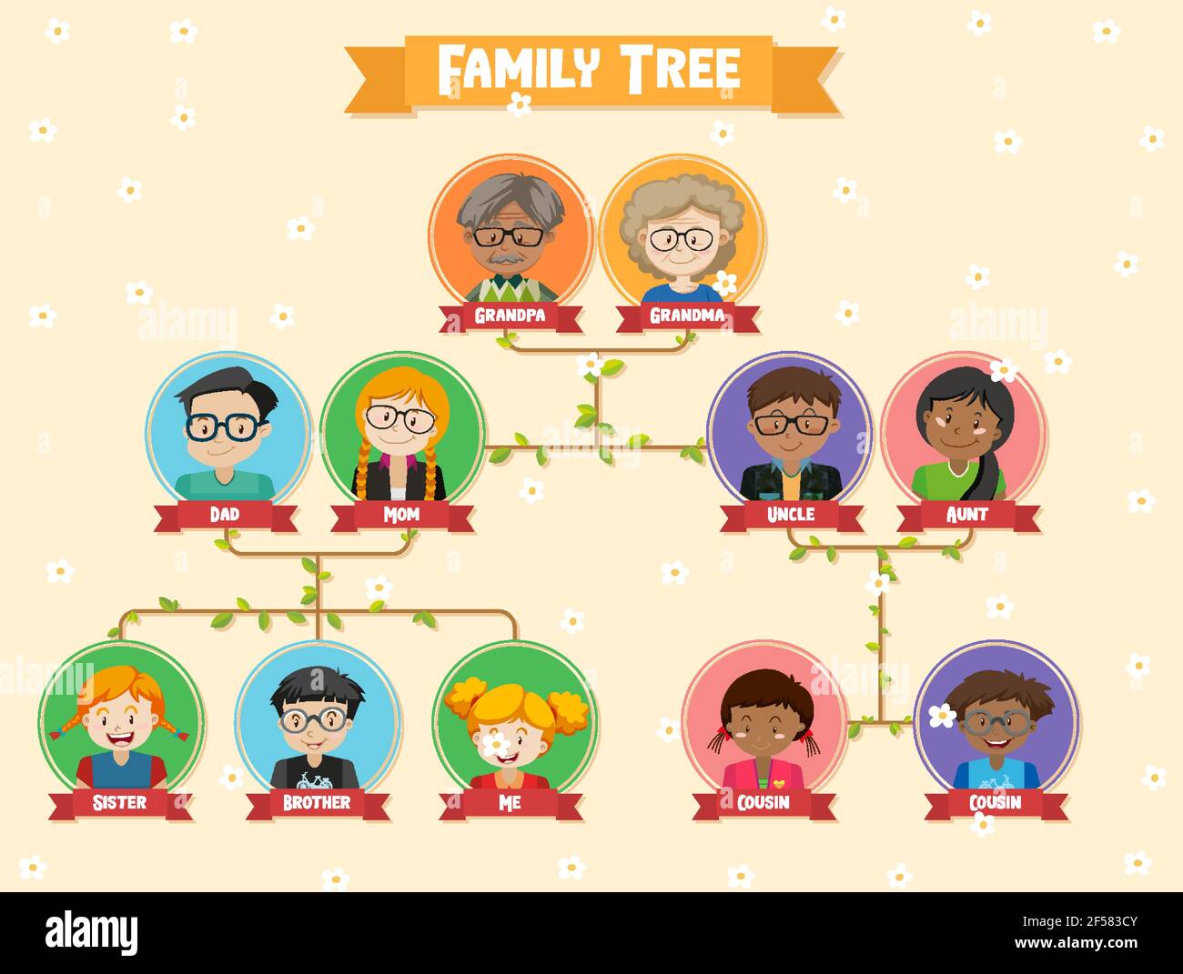 Family tree diagram Banque d'images vectorielles - Alamy