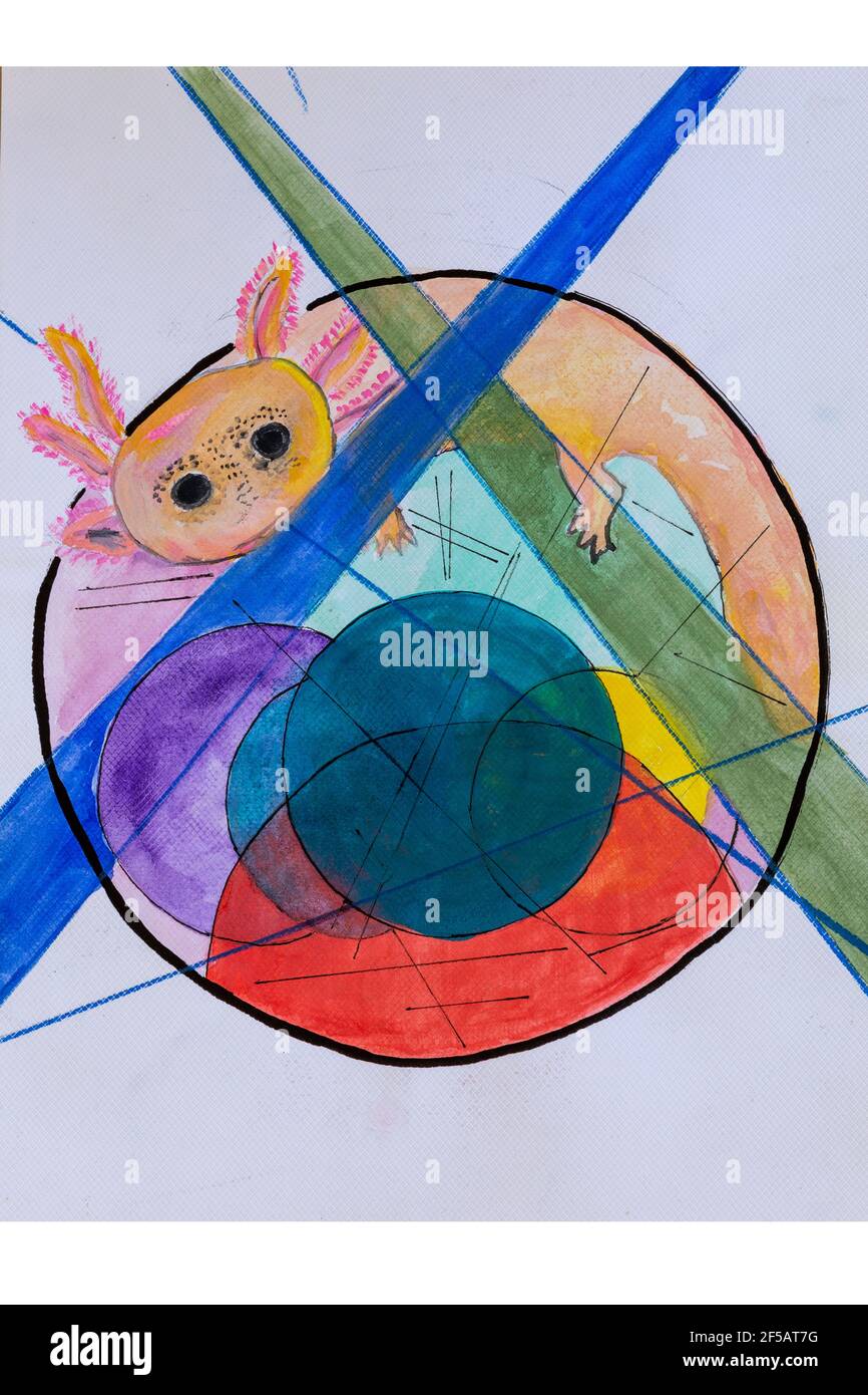 Axolotl illustration Banque de photographies et d’images à haute ...