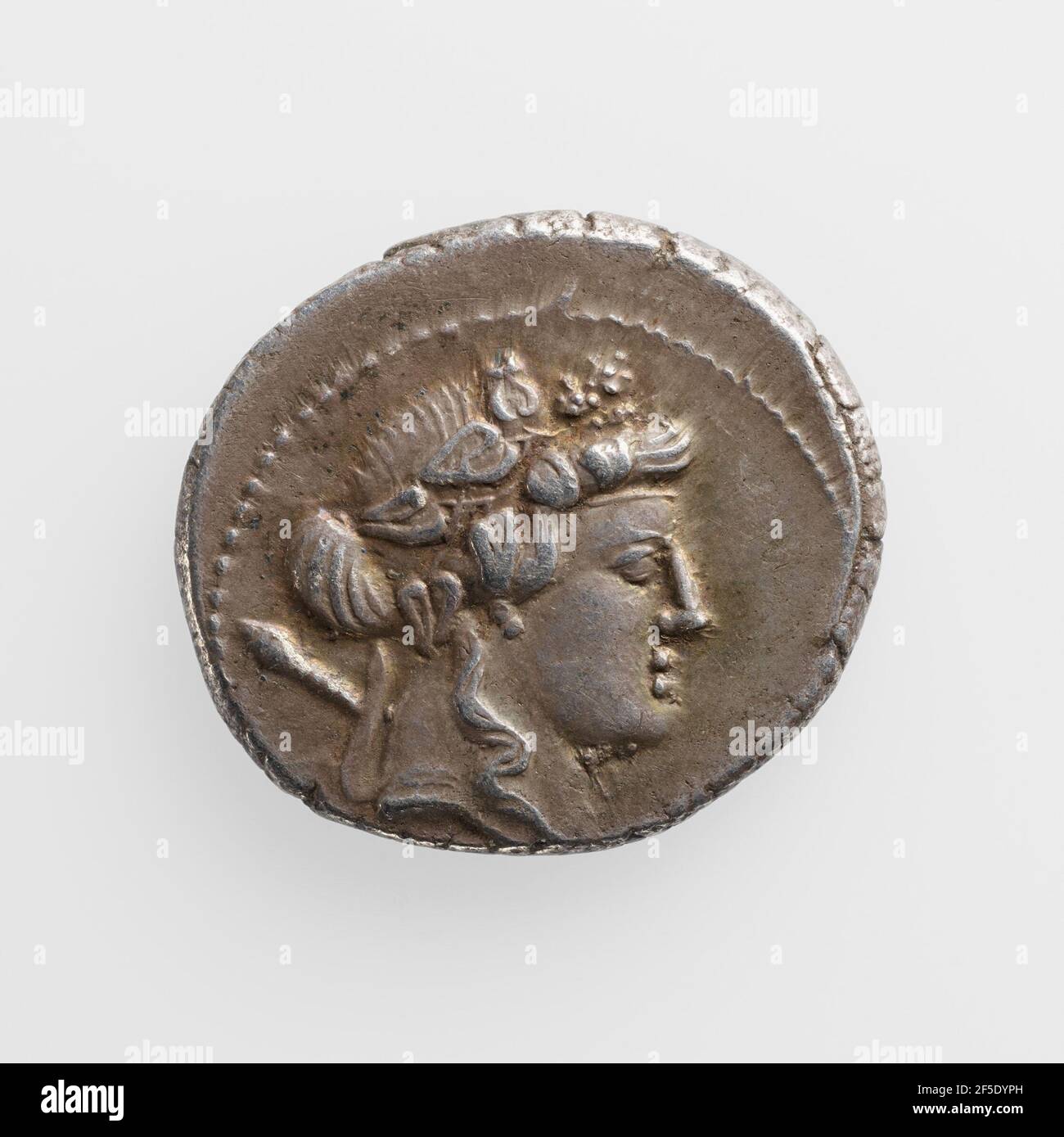 Le cassius Banque de photographies et d’images à haute résolution - Alamy