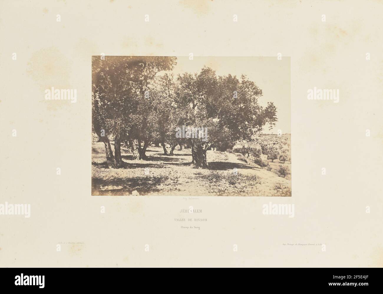 Champion du sang Banque de photographies et d’images à haute résolution ...