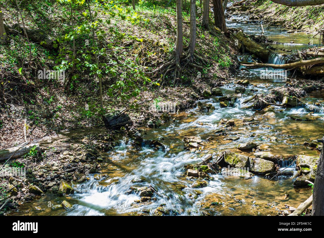 Sherman hamilton Banque de photographies et d’images à haute résolution ...