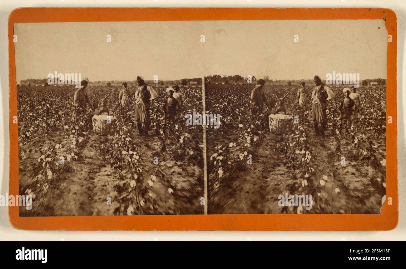 Goebel rudolph Banque de photographies et d’images à haute résolution ...