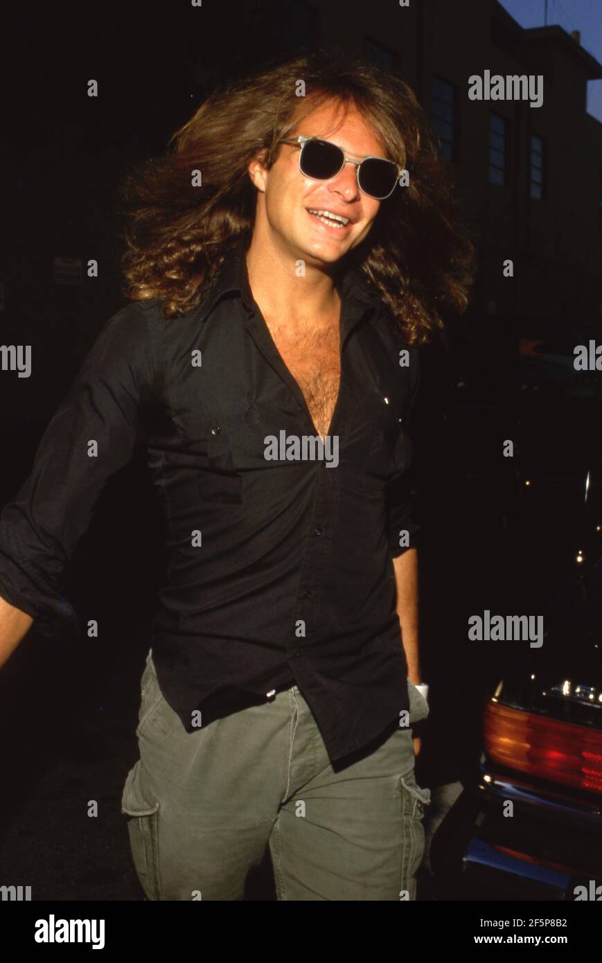 David lee roth 1985 Banque de photographies et d’images à haute ...