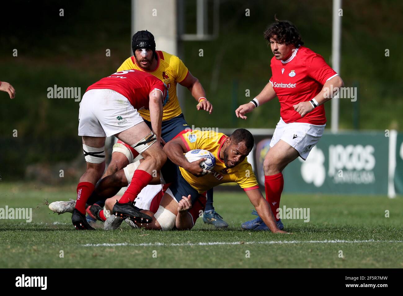 Pedro lucas rugby portugal Banque de photographies et d’images à haute ...