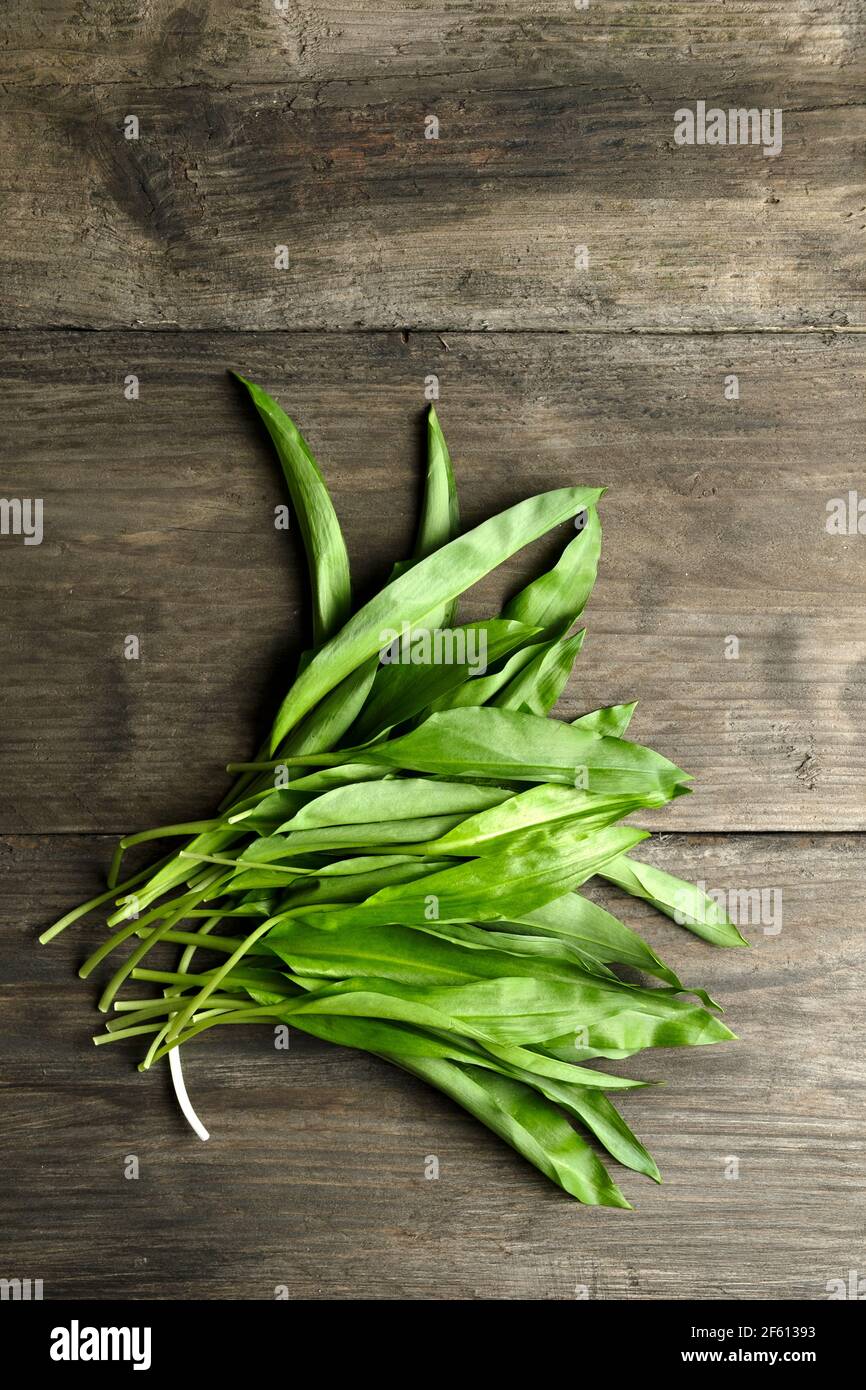 Ail sauvage comestible Banque de photographies et d’images à haute ...