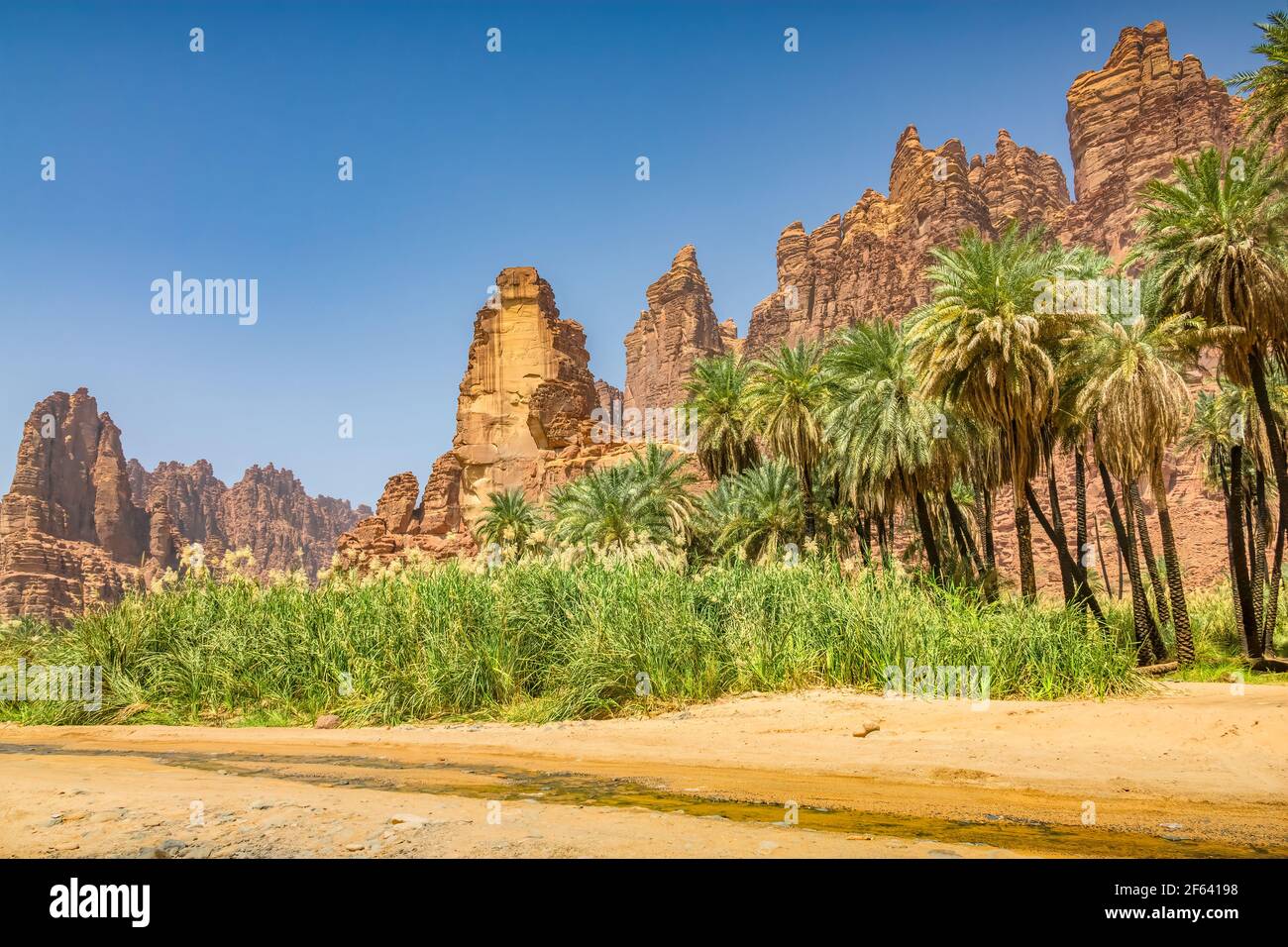Saudi arabia desert oasis Banque de photographies et d’images à haute ...