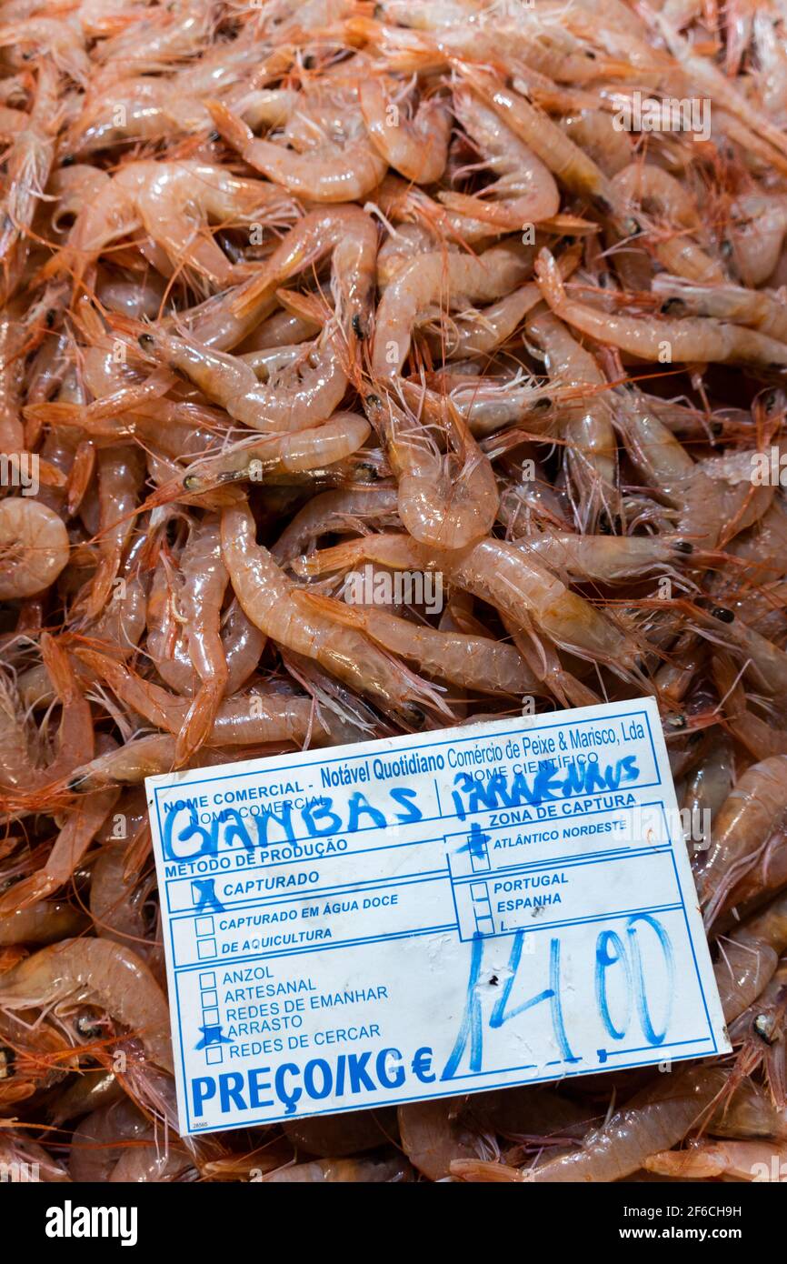 Algarve fish Banque de photographies et d’images à haute résolution - Alamy