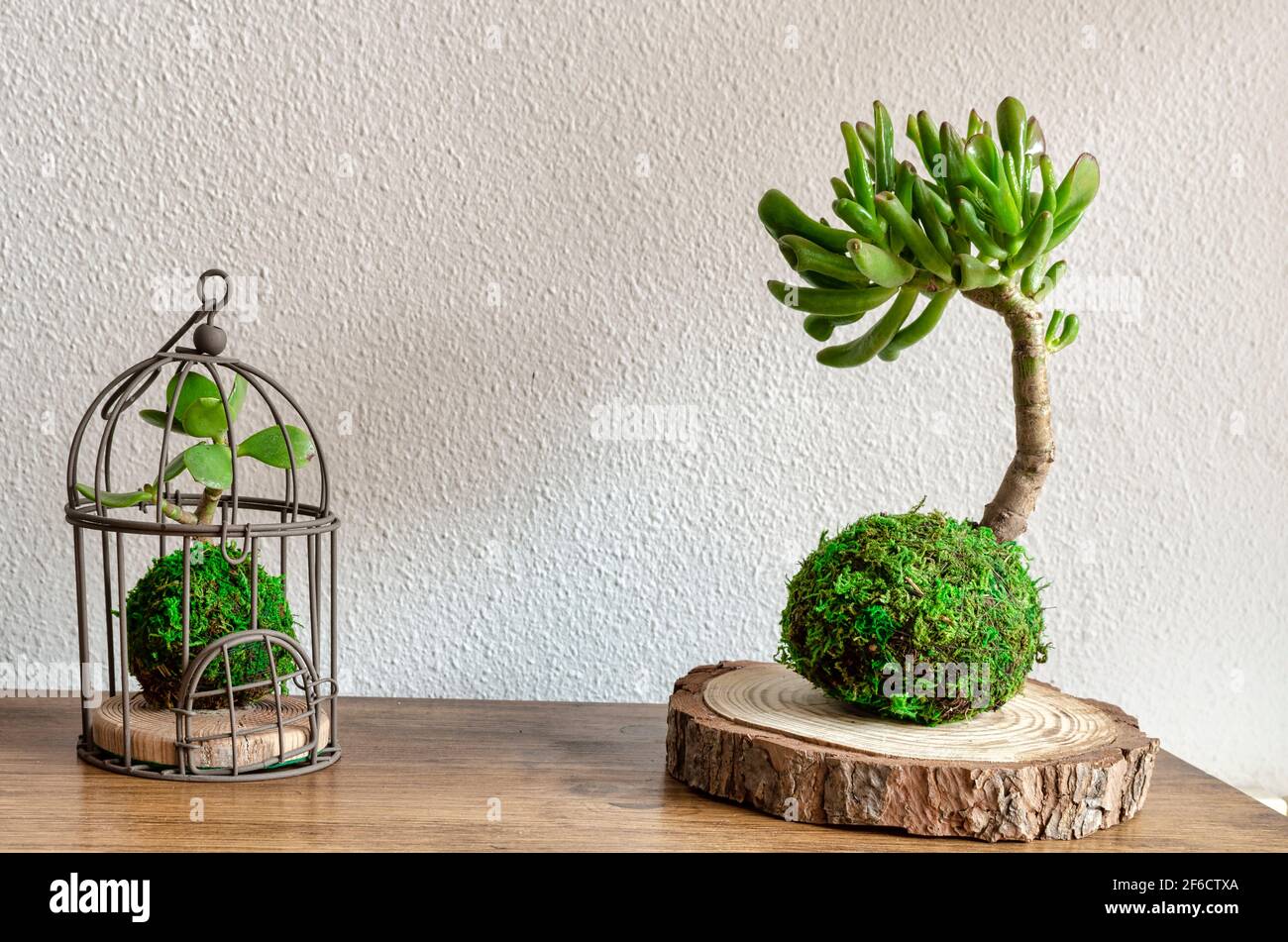 Hobbit jade Banque de photographies et d’images à haute résolution - Alamy