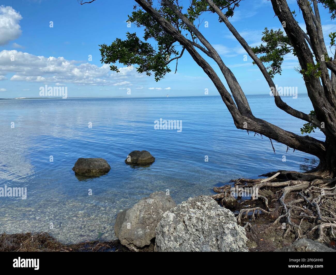 Biscayne national park Banque de photographies et d’images à haute ...