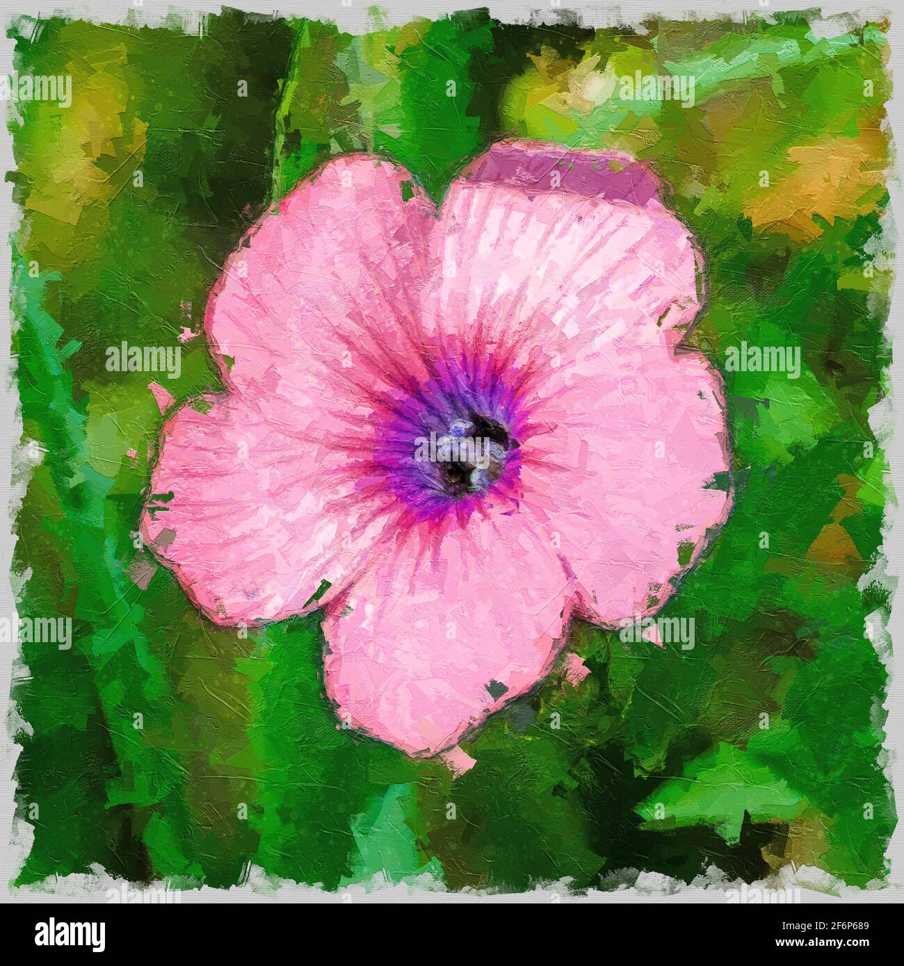 Une plante de lin en fleur Banque de photographies et d’images à haute ...