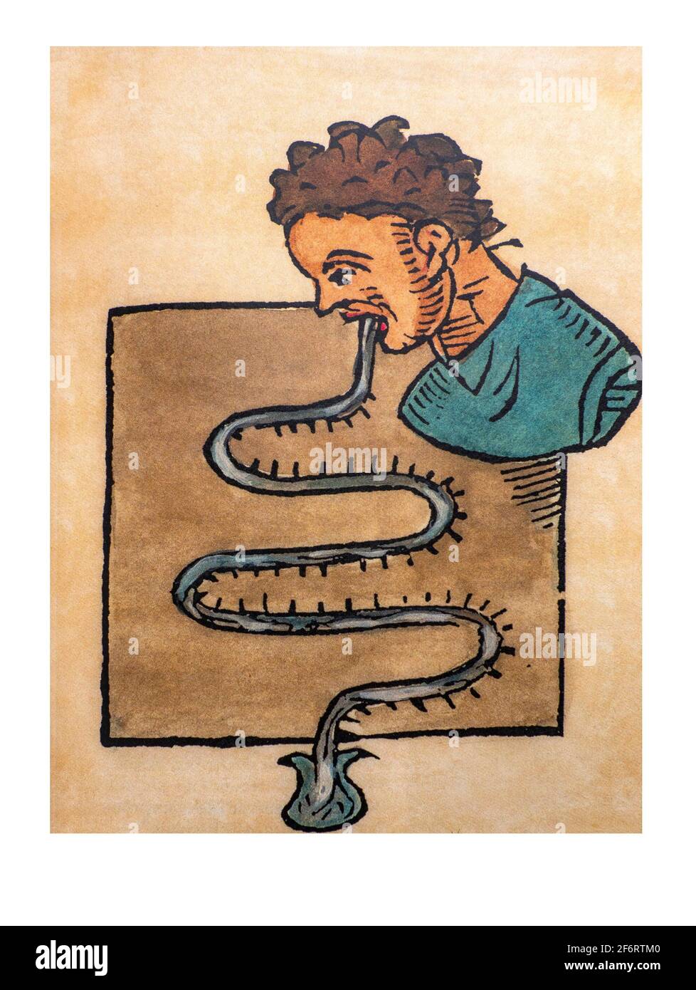 Santorio santorii Banque de photographies et d’images à haute ...