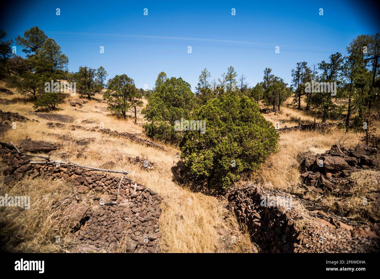 Chemin de fer de chihuahua al pacifico Banque de photographies et d ...