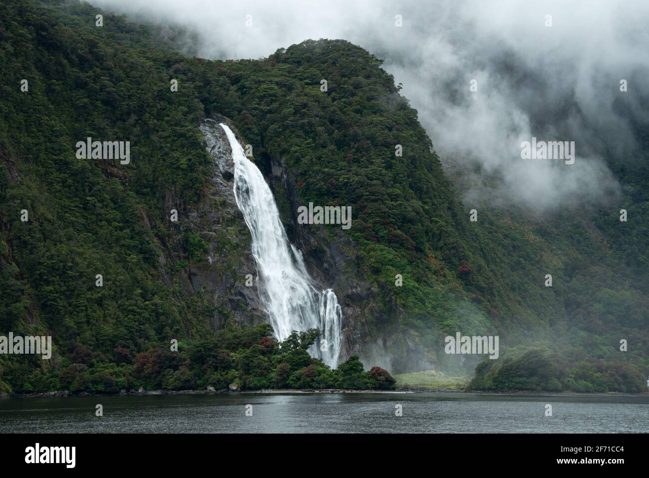 Southern rata Banque de photographies et d’images à haute résolution ...