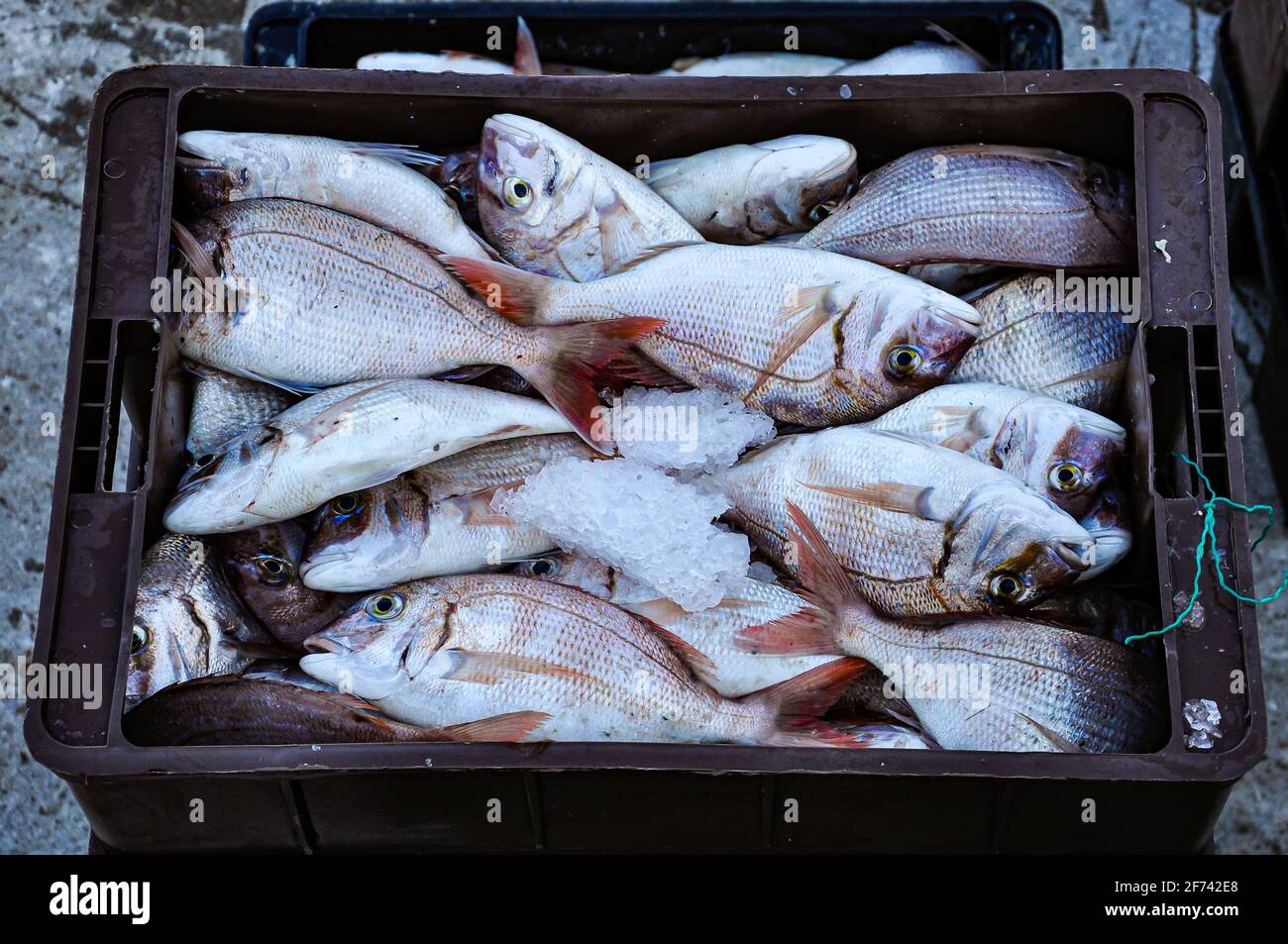 Caisses De Poisson Frais Banque d'image et photos - Alamy