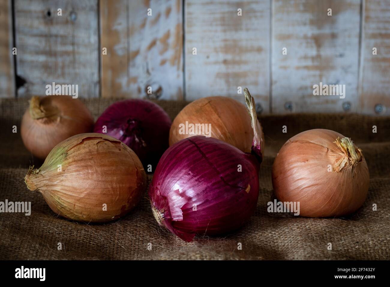 Oignons bruns Banque de photographies et d’images à haute résolution ...