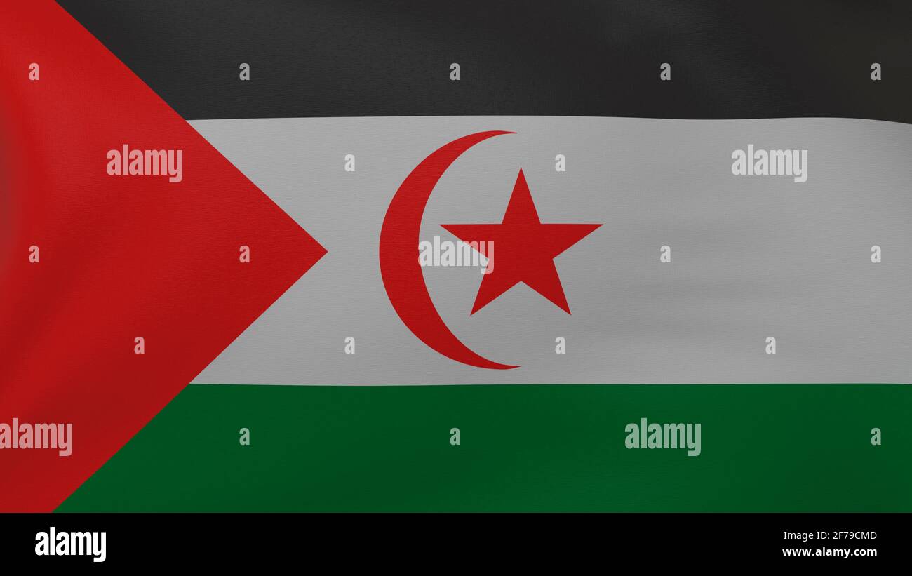 Arrière-plan du drapeau de la République arabe démocratique du Sahrawi ...