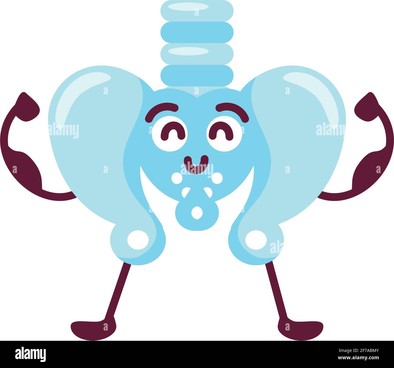 Anatomie Du Bassin Humain Banque d'image et photos - Alamy