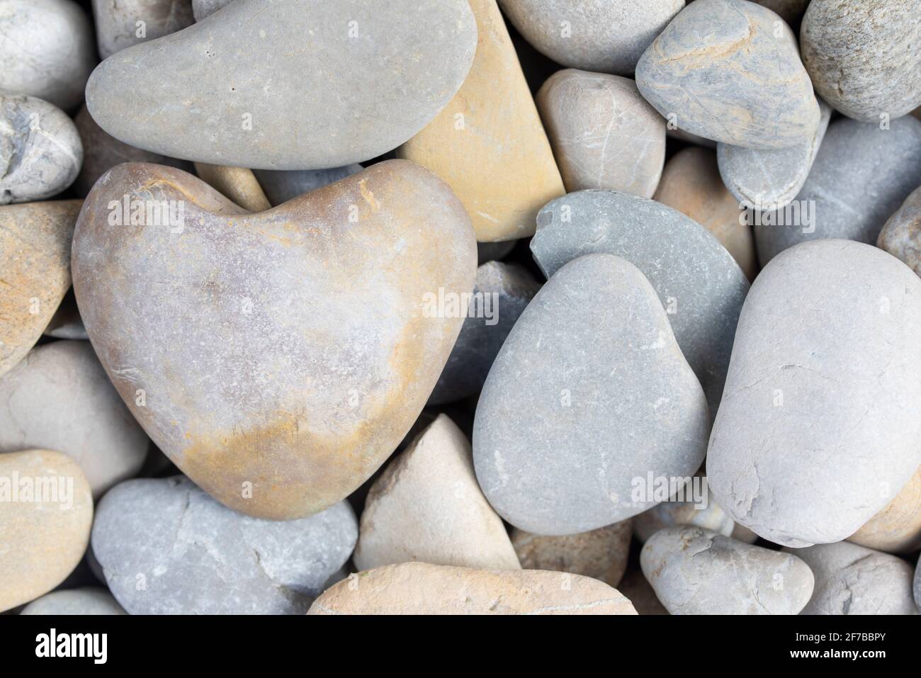 Arrière-plan et texture de galets avec un galet en forme de coeur entre ...