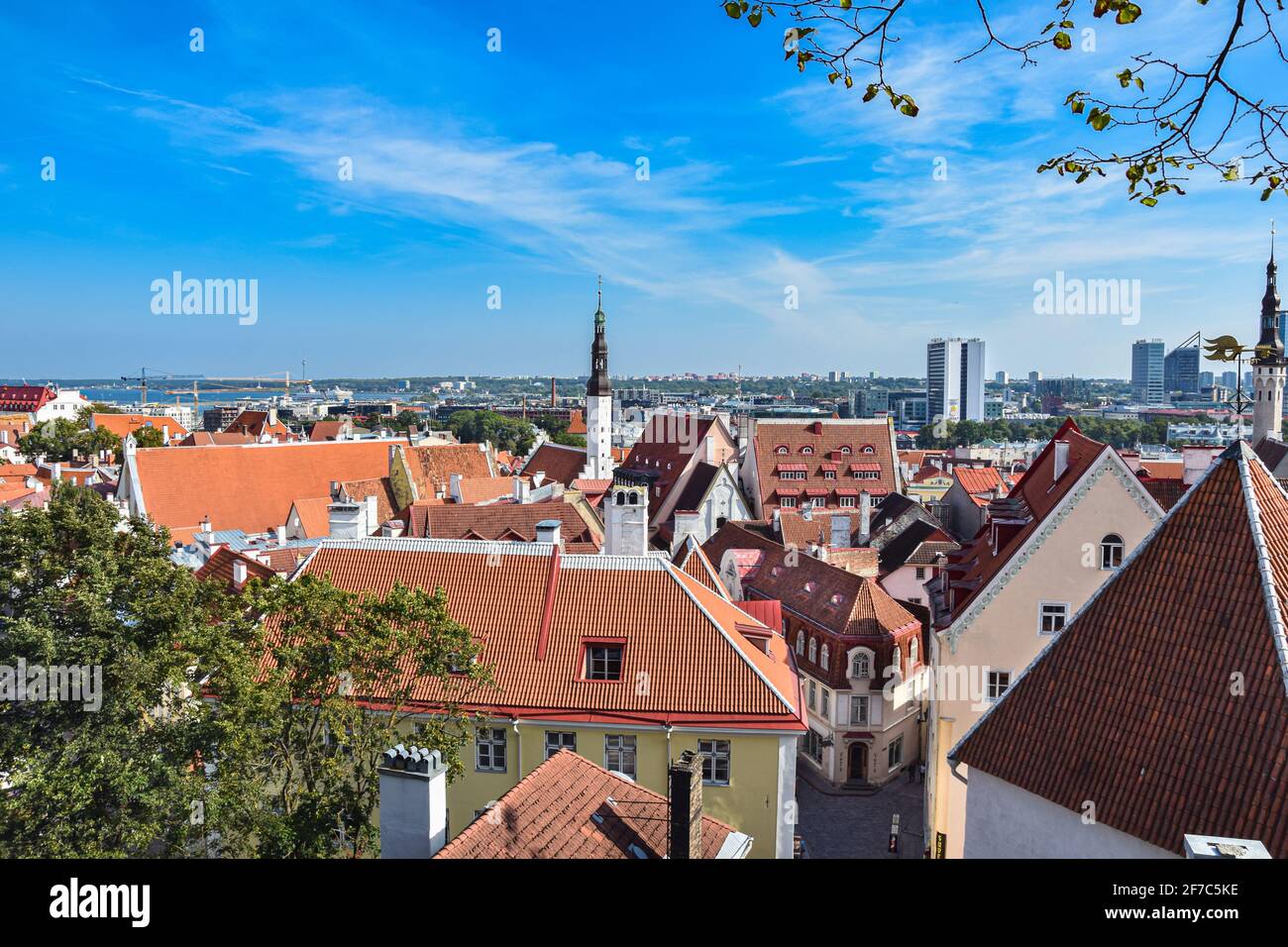 Tallin architecture Banque d'image et photos - Alamy
