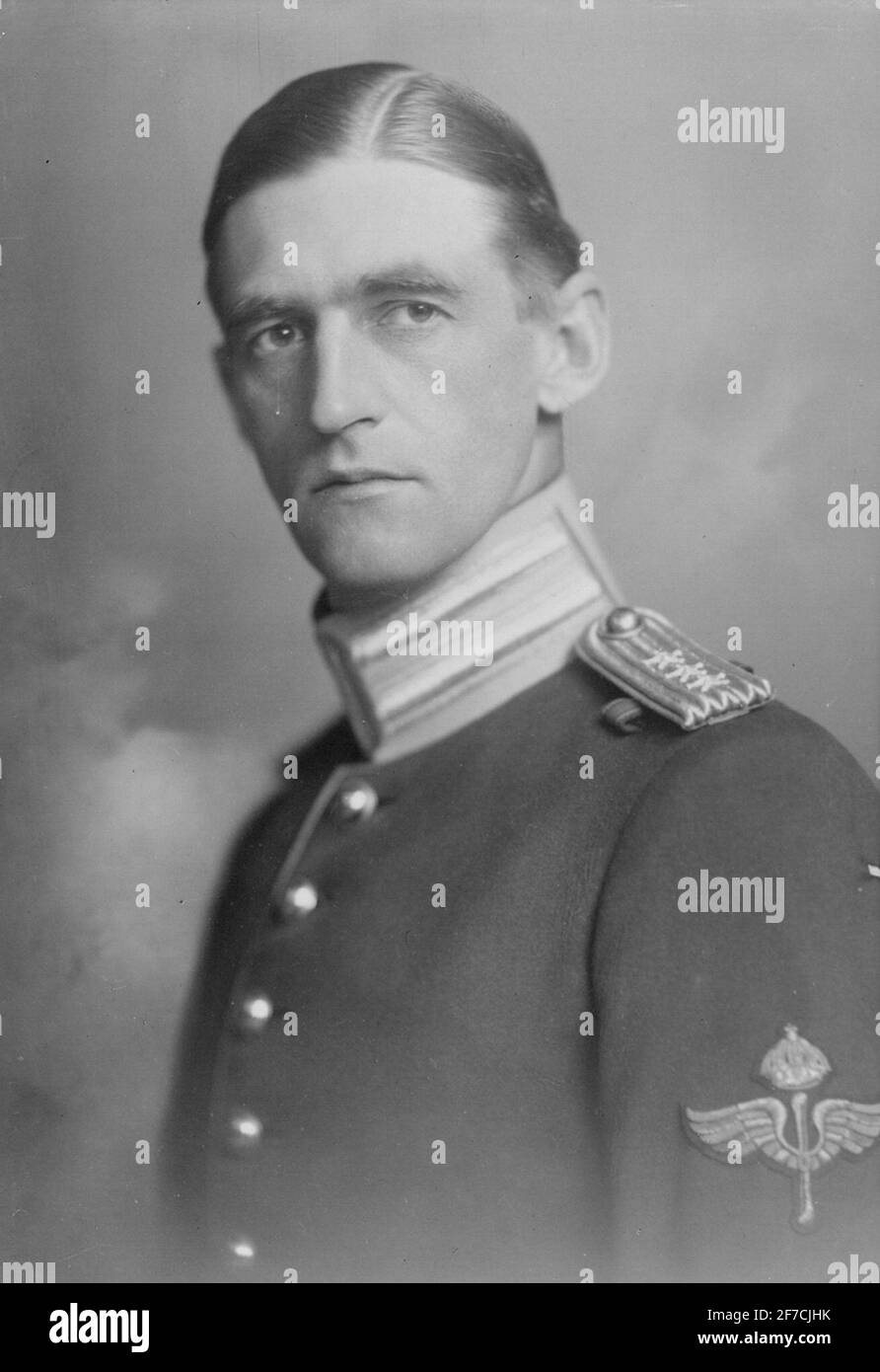 Portrait du pionnier militaire de l'air Franz Zetterlund . Portrait du ...