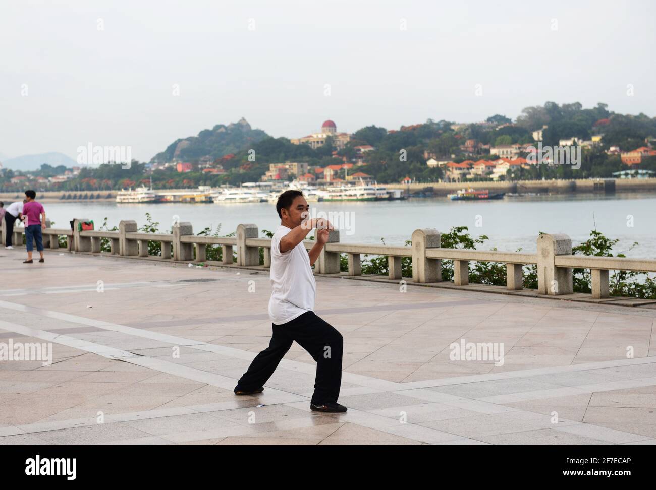 Tai yu Banque de photographies et d’images à haute résolution - Alamy