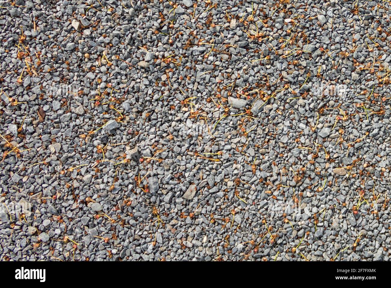 Gravel texture background Banque de photographies et d’images à haute ...