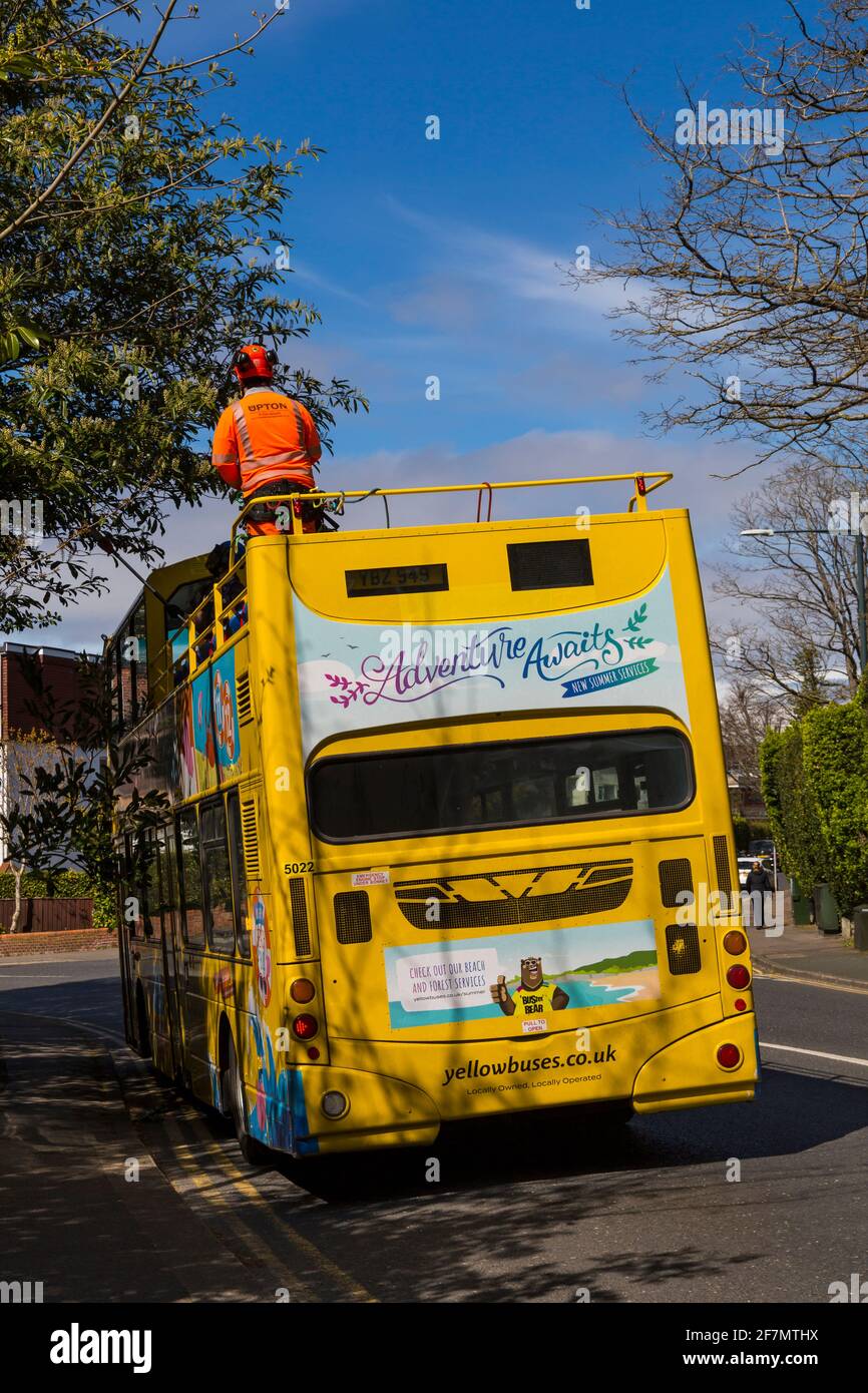 Nouveaux bus jaunes Banque de photographies et d’images à haute ...