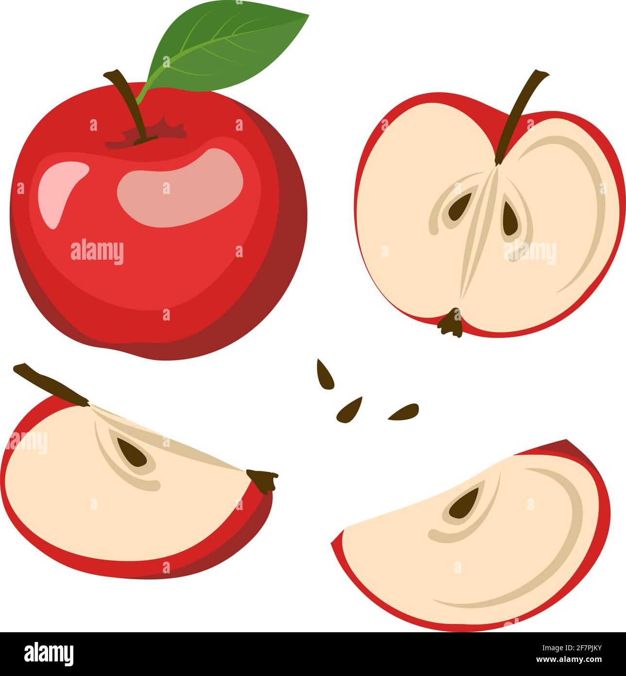 Manger des fruits rouges Banque d'images vectorielles - Alamy