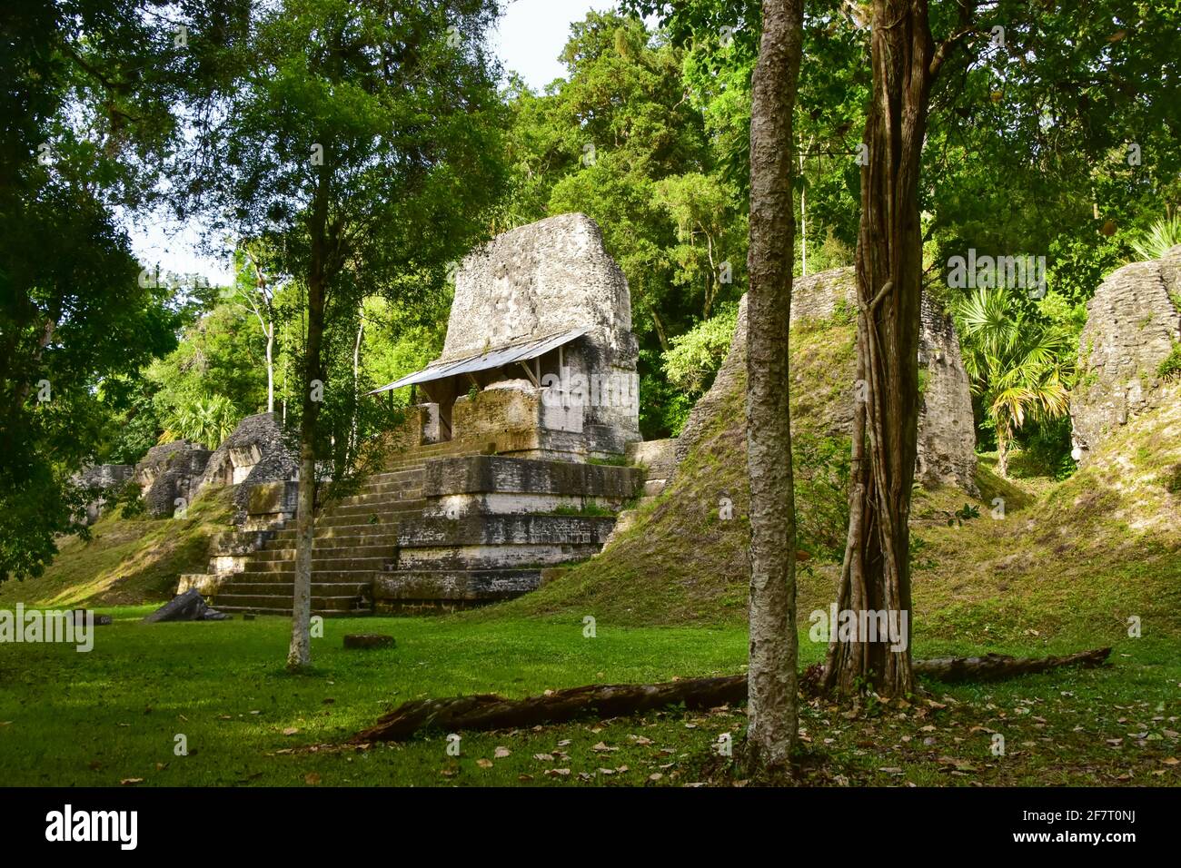 La place des sept temples (Plaza de Los Siete Templos) à Tikal, au Guatemala Photo Stock - Alamy