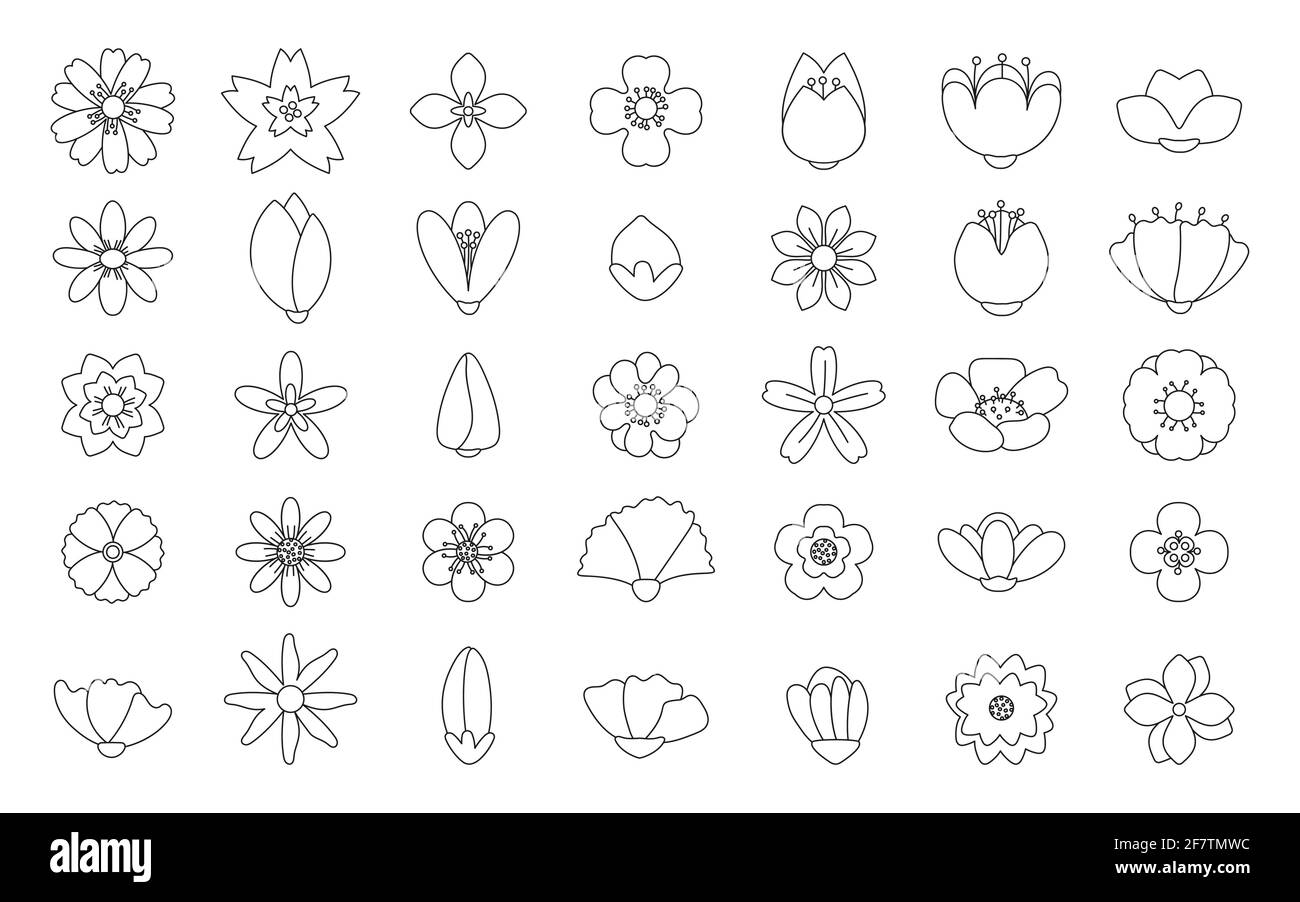 Ensemble d'icônes de fleurs d'été à contour noir. Pictogrammes de forme ...