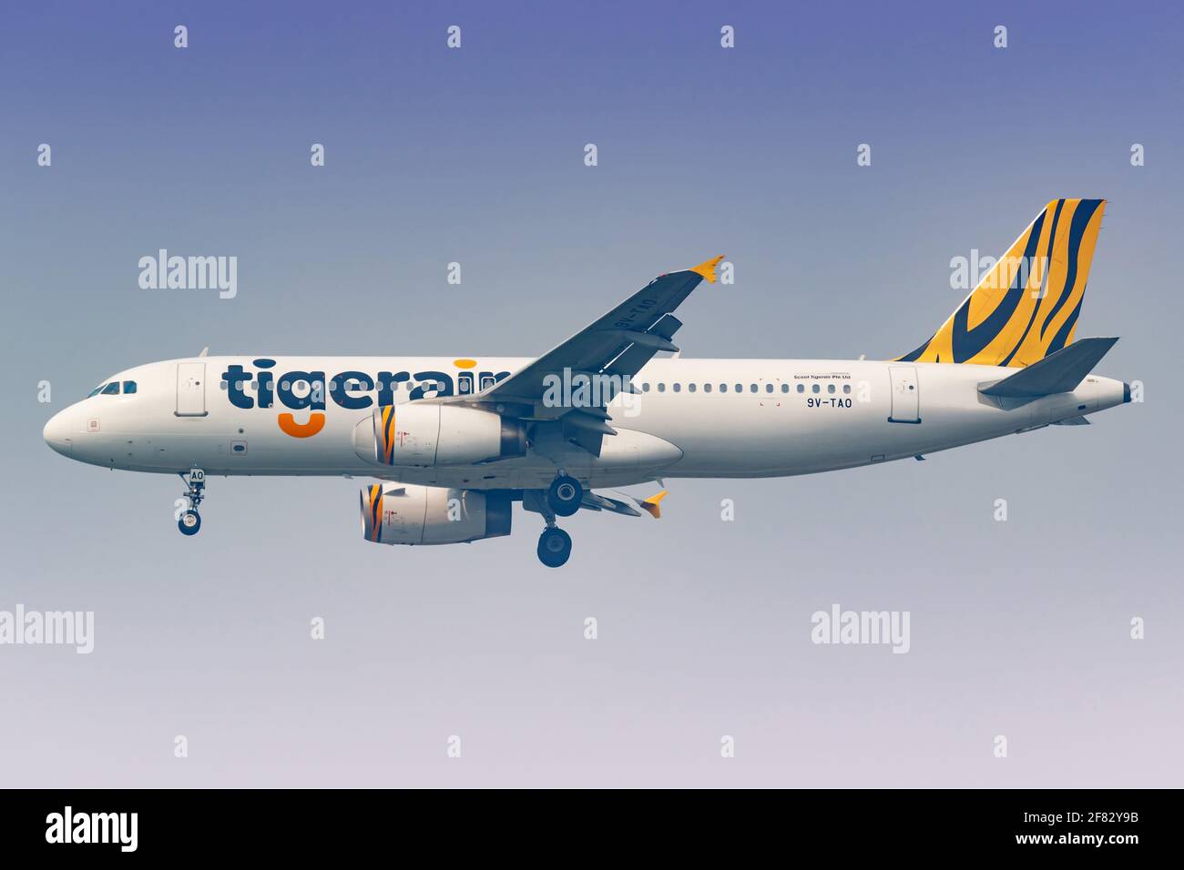 Tigerair airbus a320 Banque de photographies et d’images à haute ...