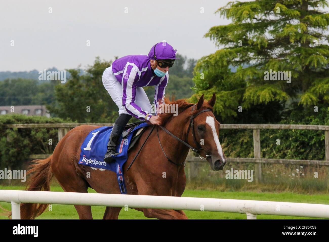 Michael tabor race horse owner Banque de photographies et d’images à ...