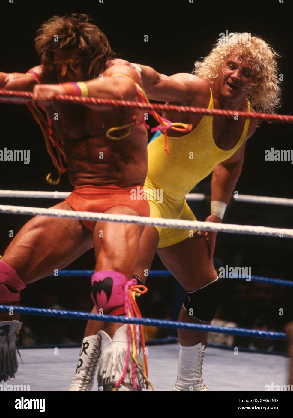 Le guerrier ultime Banque de photographies et d’images à haute ...