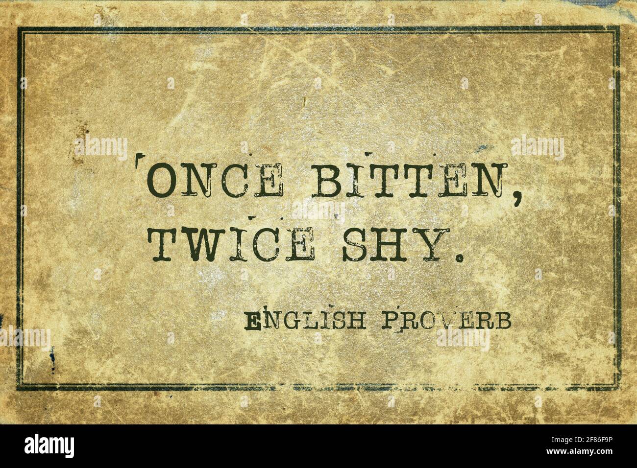 Une fois mordu deux fois timide Banque de photographies et d’images à ...