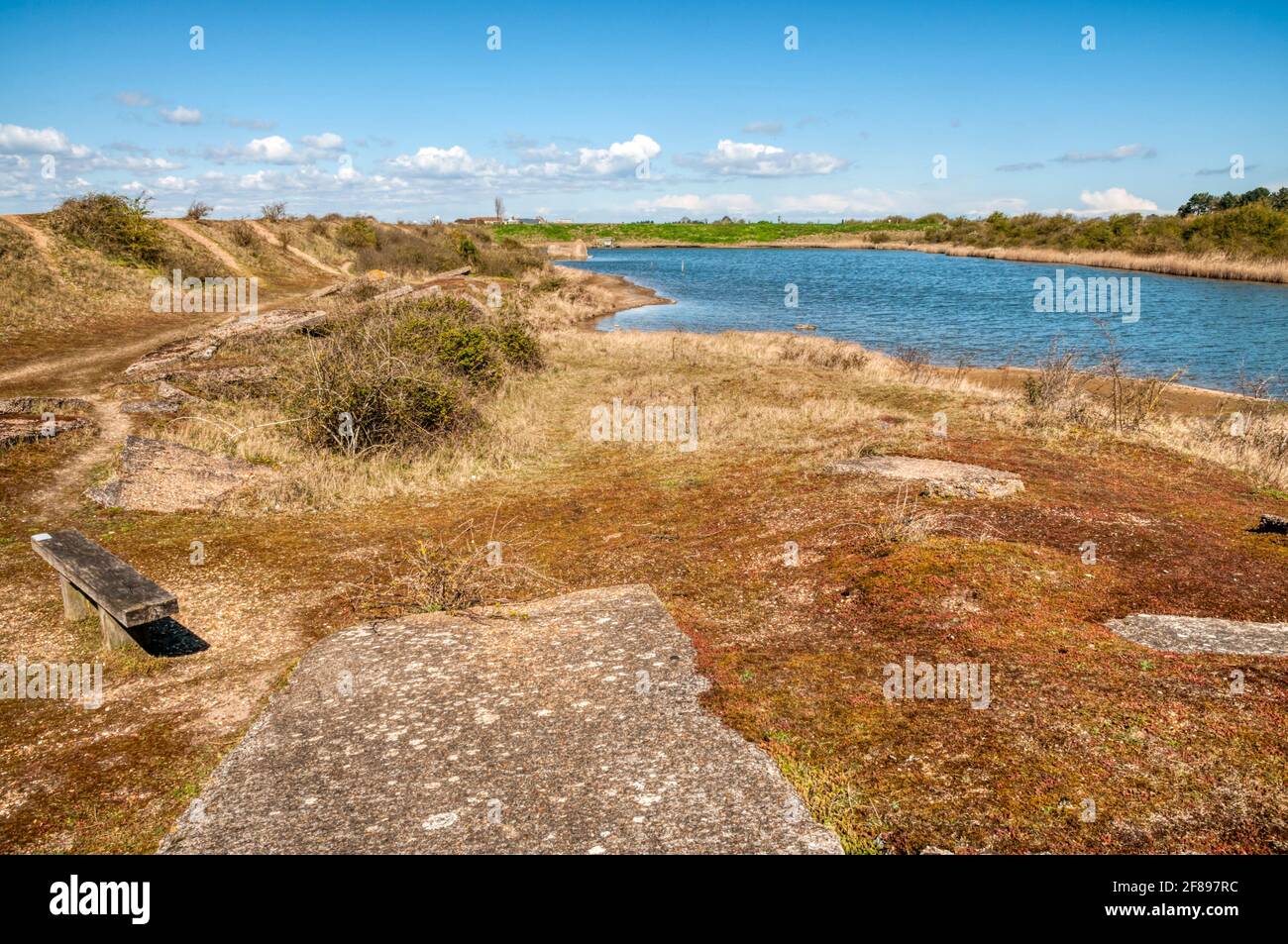 Rspb snettisham Banque de photographies et d’images à haute résolution ...