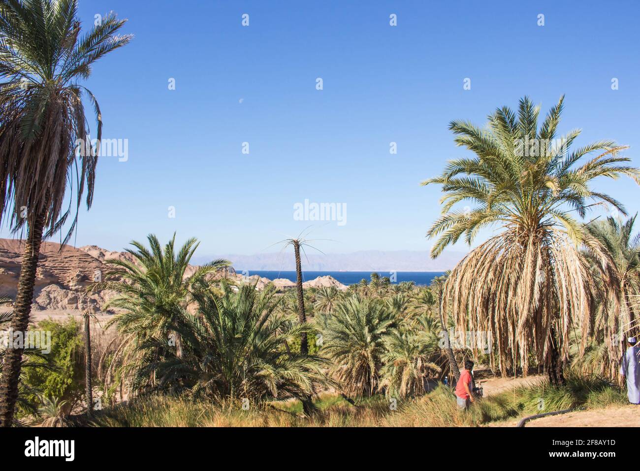 Arabie saoudite tabuk wadi tayyib ism Banque de photographies et d ...