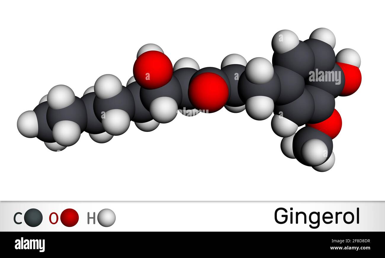Molécule de gingérol. C'est un composé phytochimique de phénol, agent ...