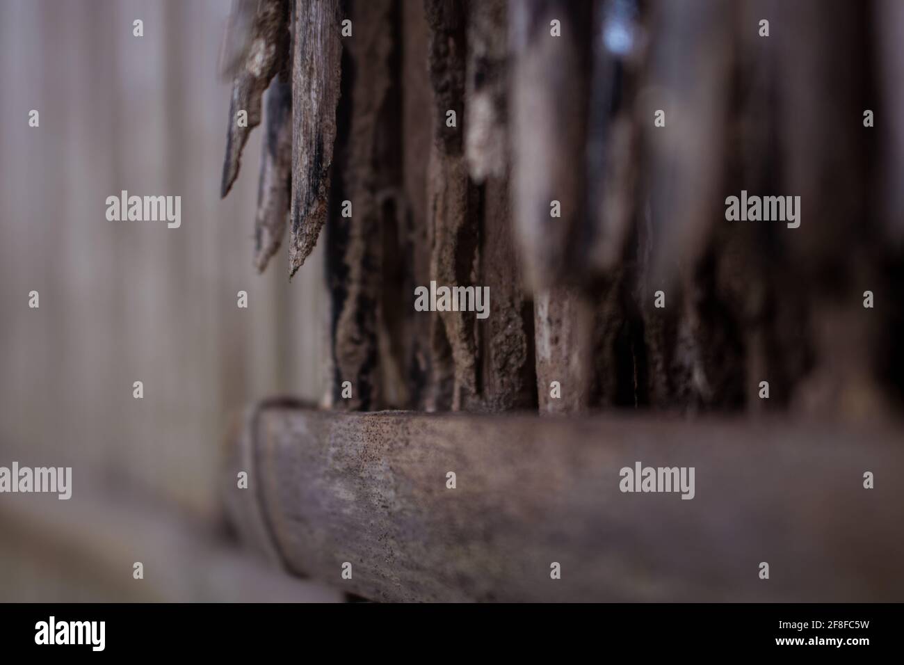 Le fond de l'ancien mur de bâton de jute détruit par les termites Photo ...