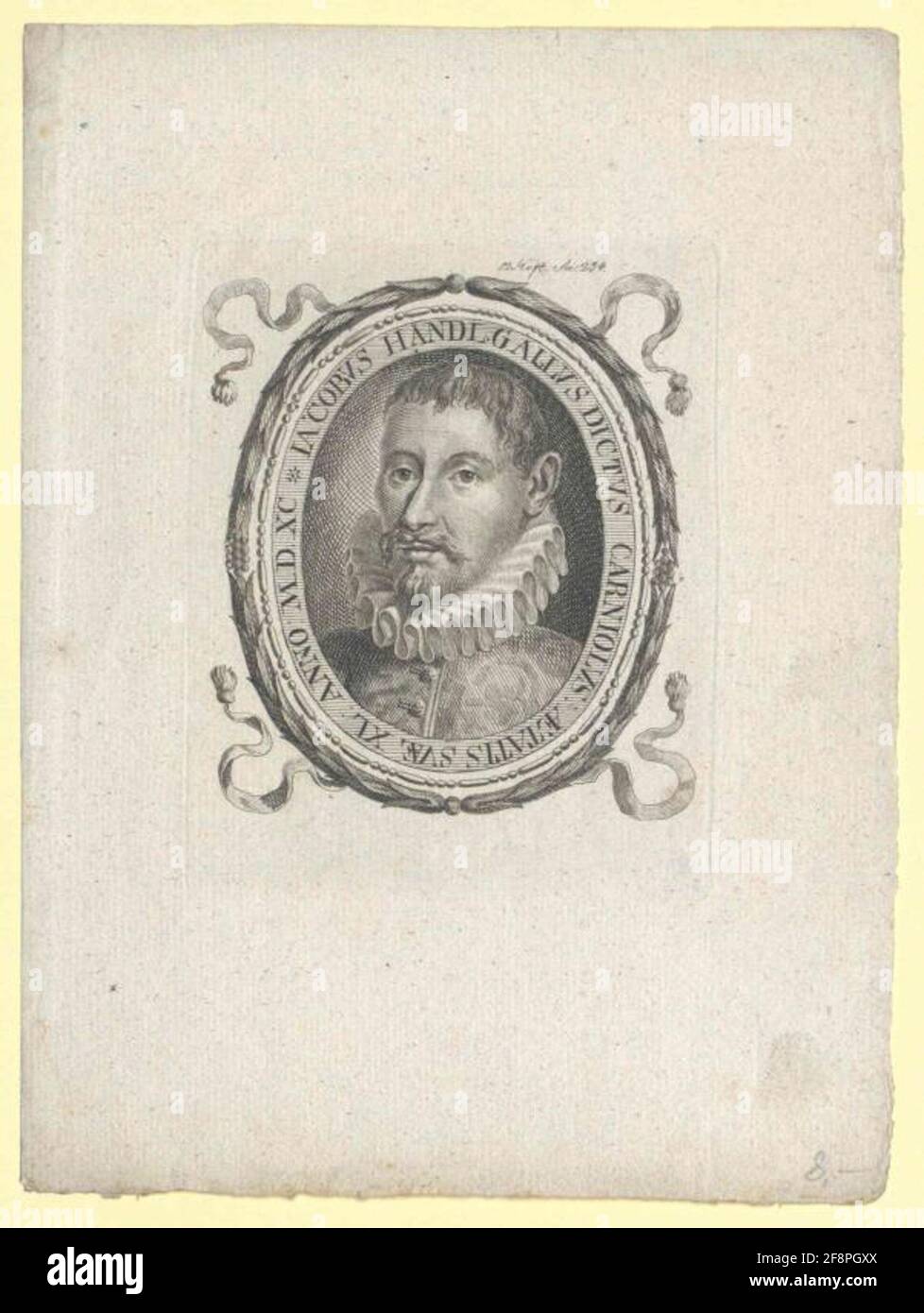 Jacobus gallus Banque de photographies et d’images à haute résolution ...